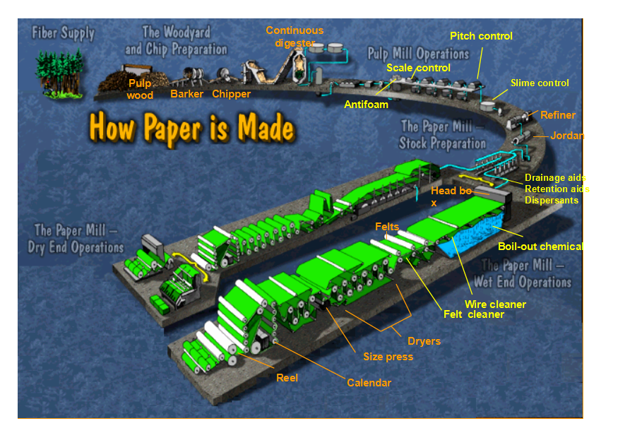 how-paper-is-made